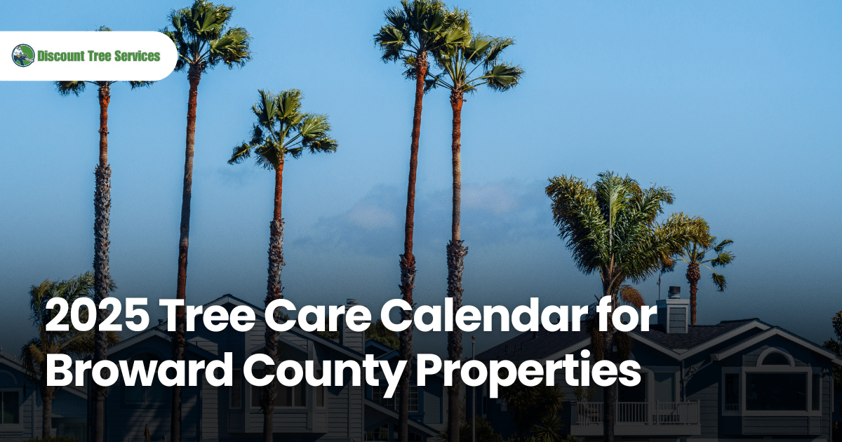 2025 Tree Care Calendar for South Florida Homeowners