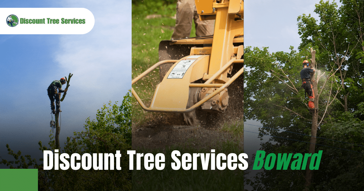 Discount Tree Service