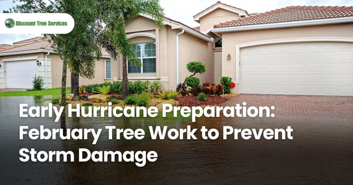 February Tree Prep: Prevent Hurricane Damage Before Storm Season