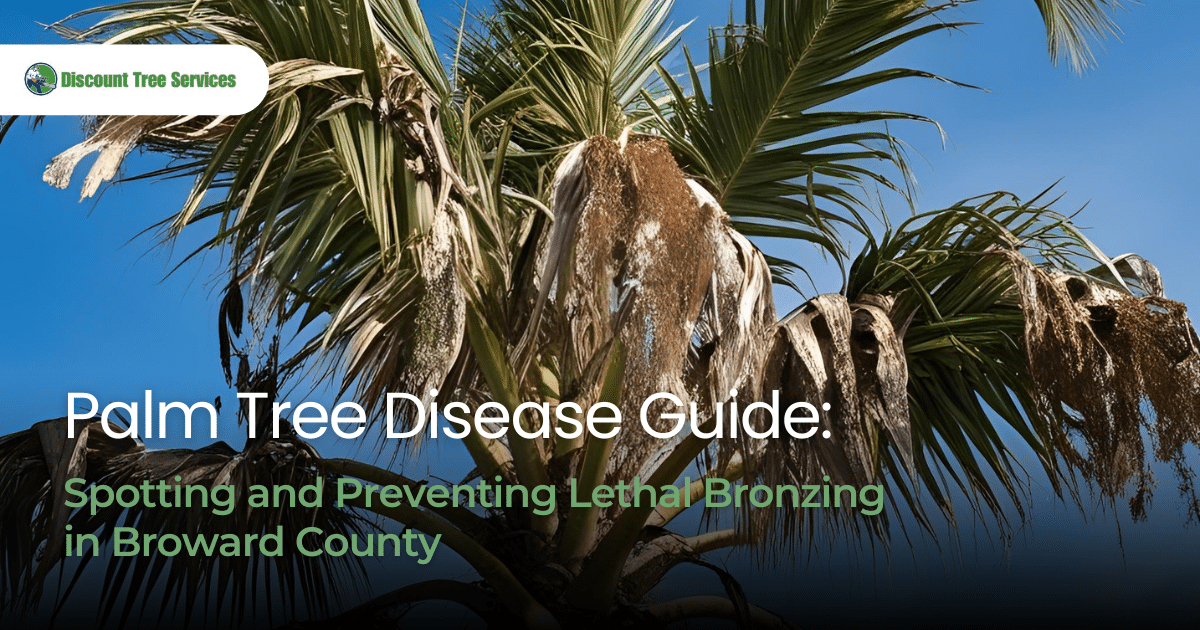 Lethal Bronzing Palm Disease: Detection & Prevention Guide